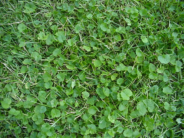 Personal Touch ~ Pro Tips